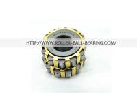 China Eccentric Cylindrical Roller Bearing 22UZ831729 T2 22x58x32mm for Cycloid Reducer for sale