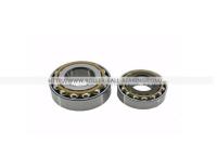 China Double Row Angular Contact Ball Bearing F-239495.SKL-AM 35x79x31mm for Automotive for sale