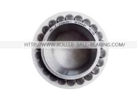 China Double Row Cylindrical Roller Bearing F-230698.1 F-230698.RNN 50x72.3x39mm for sale