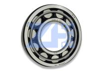 China GCR-15 Chrom Steel Cylindrical Roller Bearing 0670-124 Single Column for sale