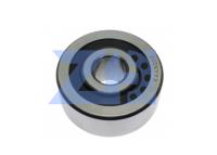 China Precision P6 Insert Ball Bearing 205KYY3 0.756 in Bore 2.500 in OD Agricultural Bearing for sale