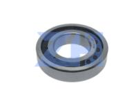 China NF-208 Cylindrical Roller Bearing 40mm x 80mm x 18mm High Load Capacity Chrome Steel for sale