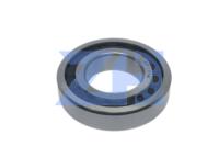 China NF210 Cylindrical Roller Bearing 50x90x20 mm Single Row Open Type for Electromotor for sale