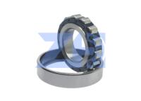 China NF210 Cylindrical Roller Bearing 50x90x20 mm Single Row Open Type for Electromotor for sale