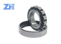China NF210 Cylindrical Roller Bearing 50x90x20 mm Single Row Open Type for Electromotor for sale