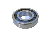 China NF310 Cylindrical Roller Bearing 50x110x27mm High Load Capacity Excavator Bearing for sale