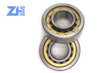 China NU204 ECP Single Row Cylindrical Roller Bearing 20x47x14mm Chrome Steel for sale