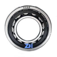 China NJ205ET2X Cylindrical Roller Bearing 25x52x15mm Chrome Steel High Precision for sale