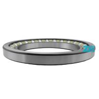China Excavator Bearing 136-2946 168-8451 GCR15 Steel P6 Precision Super Finished Raceways for sale