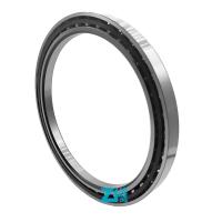 China Excavator Bearing TZ500D1021-00 TZ810B1021-00 High Precision P6 GCR15 Steel for sale