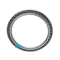 China Excavator Bearing TZ200B1021-01 Super Finished Raceways GCR15 P0/P6/P5/P4 Precision for sale