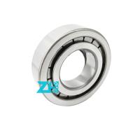 China F-203740 Cylindrical Roller Bearing 25x54x21mm High Precision P0-P4 GCR15 for sale