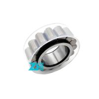 China RSL18 2211 Cylindrical Roller Bearing 55x88.81x25mm GCR15 High Precision P0-P4 for sale