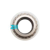 China Double Row Cylindrical Roller Bearing TJ-609-101-1 18x30.86x13mm GCR15 High Precision for sale
