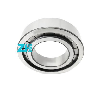 China GCR15 Cylindrical Roller Bearing F-202703 35x67x21mm for Hydraulic Pump High Precision for sale