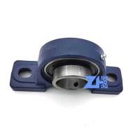China Plummer Block Units Pillow Block Bearing SY45TF for sale