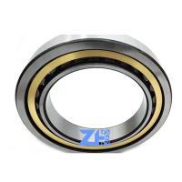 China ZLA NU1038M Cylindrical Roller Bearing 190x290x46mm Chrome Steel P0-P5 for sale