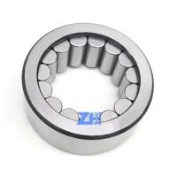 China R3021YD Cylindrical Roller Bearing 29.7x55x21mm Chrome Steel P0 P6 P5 P4 for sale
