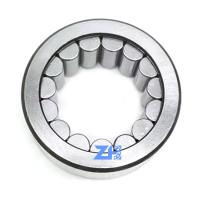 China R3021YD Cylindrical Roller Bearing 29.7x55x21mm Chrome Steel P0 P6 P5 P4 for sale