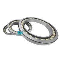 China TZ810B1021-00 Excavator Bearing Chrome Steel P0 P6 P5 P4 Precision for sale