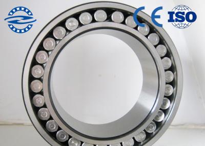China Double Row Full Complement Cylindrical Roller Bearing SL045004PP 20mm Bore 42mm OD for sale