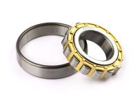 China Double Row Cylindrical Roller Bearing NN3005K 25x47x16mm Open ZZ 2RS RS High Precision for sale