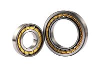 China Double Row Cylindrical Roller Bearing NN3005K 25x47x16mm Open ZZ 2RS RS High Precision for sale
