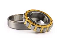 China Double Row Cylindrical Roller Bearing NN3005K 25x47x16mm Open ZZ 2RS RS High Precision for sale