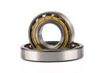 China Double Row High Precision Cylindrical Roller Bearing NU1006M  30*55*13 mm for sale