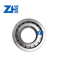 China R909156259 Cylindrical Roller Bearing P0 Precision GCR15 Steel High Radial Load for sale