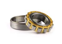 China ZH Bearing N1008-K-M1-SP Cylindrical Roller Bearing 40mm x 68mm x 15mm for sale