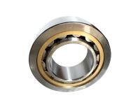 China Machine Tools Double Row Cylindrical Roller Bearing NN3019K 95x145x37 mm for sale