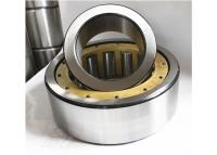 China Machine Tools Double Row Cylindrical Roller Bearing NN3019K 95x145x37 mm for sale