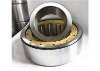 China Cylindrical Roller Bearing N1021M Without Outer Ring 105x160x26mm for Machine Tool Spindle for sale