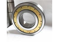 China Cylindrical Roller Bearing N1021M Without Outer Ring 105x160x26mm for Machine Tool Spindle for sale
