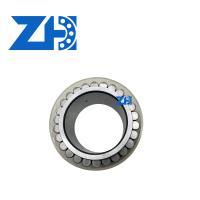 China F-232533.01.RNN Cylindrical Roller Bearing GCR15 Steel P0-P4 Precision for Hydraulic Pumps for sale