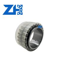 China F-232533.01.RNN Cylindrical Roller Bearing GCR15 Steel P0-P4 Precision for Hydraulic Pumps for sale