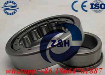 China Cylindrical Roller Bearing NJ260 NUP264 Brass Steel Cage 300mm Bore 540mm OD for sale