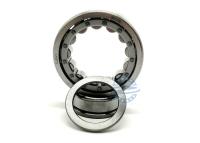 China P6 Cylindrical Roller Bearing NJ206 GCR15 Single Row 30x62x16mm Brass Cage for sale