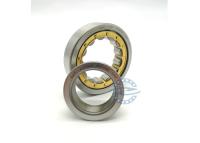 China Cylindrical Roller Bearing NJ311EC C3 55x120x29mm Single Row Chrome Steel for sale