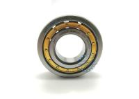 China Cylindrical Roller Bearing NJ311EC C3 55x120x29mm Single Row Chrome Steel for sale