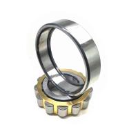China NF311EM Cylindrical Roller Bearing Size 55*120*29mm for sale