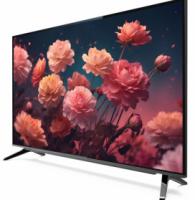 China Thin Bezel 55 Inch WebOS TV Tempered Glass WebOS Television Smart Update for sale