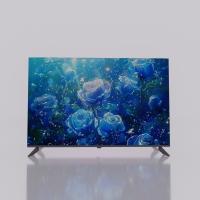 China Compact LED Display TV 720P Resolution 50Hz/60Hz Sync Frequency for Your Business for sale