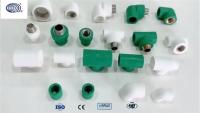 China White Color PN20 PN25 Water Pipe PPR Fittings For Garden for sale