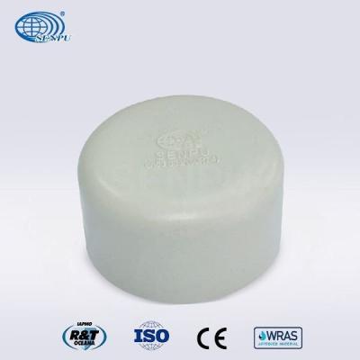 China Lightweight D25 D32 Plastic Pipe End Cap PPR Pipes Fittings Full Form In Plumbing for sale
