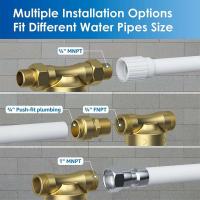 China Spin Down Backwash Sediment Filter Whole House Pre Filtration System 50 Micron for sale