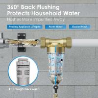 China Spin Down Backwash Sediment Filter Whole House Pre Filtration System 50 Micron for sale