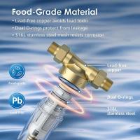 China Spin Down Backwash Sediment Filter Whole House Pre Filtration System 50 Micron for sale