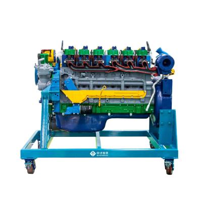 China Anatomical Educational Model Of Marine Six Cylinder Engine for sale